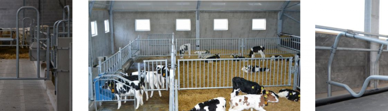 Partition barriers for flexibility | Spinder