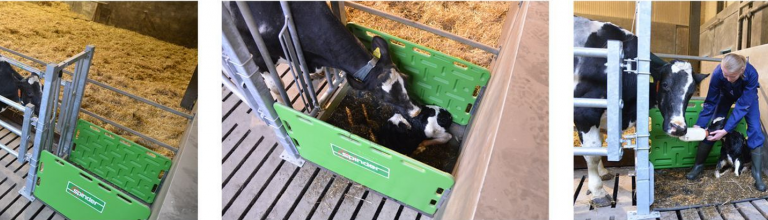 Cuddle box for optimum calving | Spinder