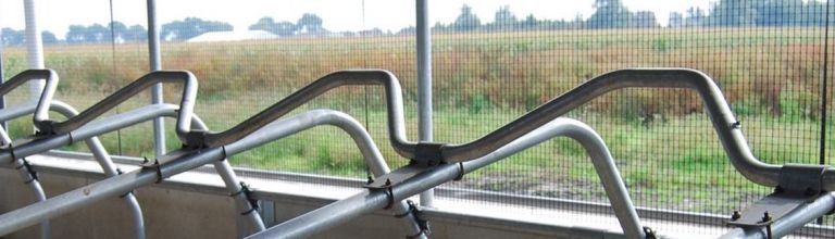 Waved neck bar: a must have for a growing business | Spinder